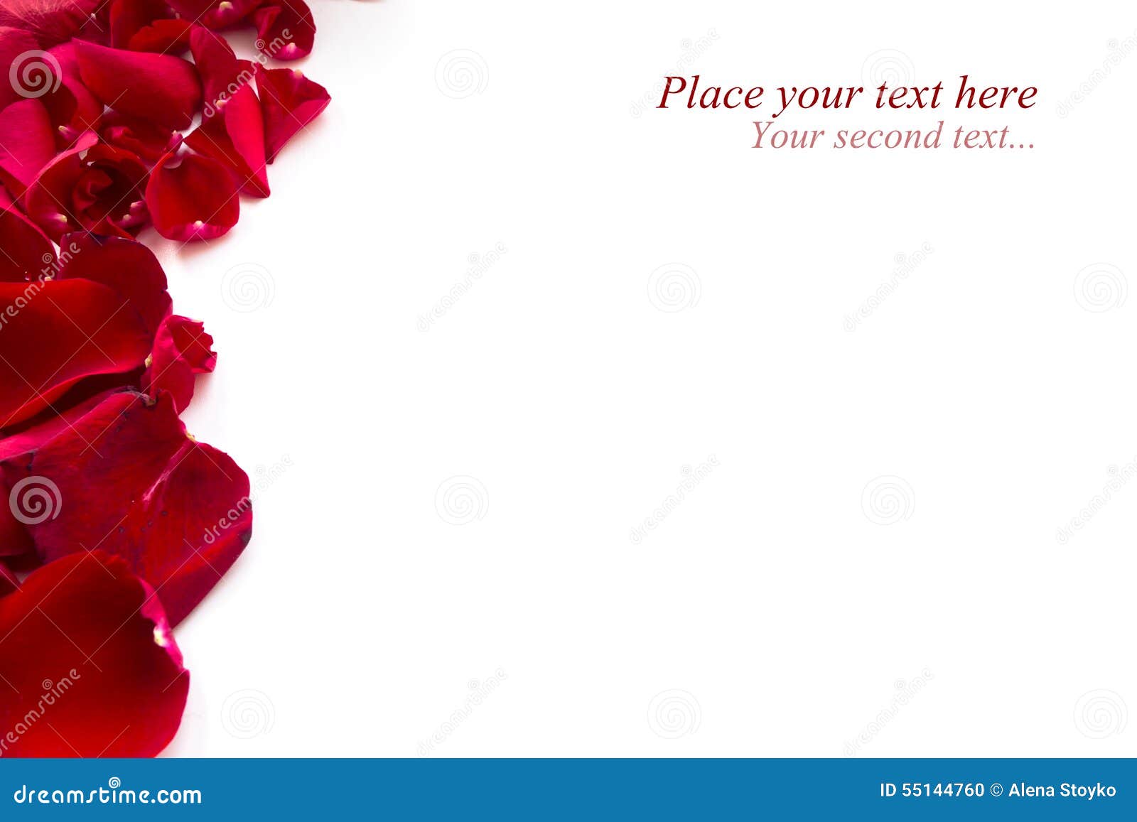 Rose Petals Border stock photo. Image of floral, isolated - 55144760