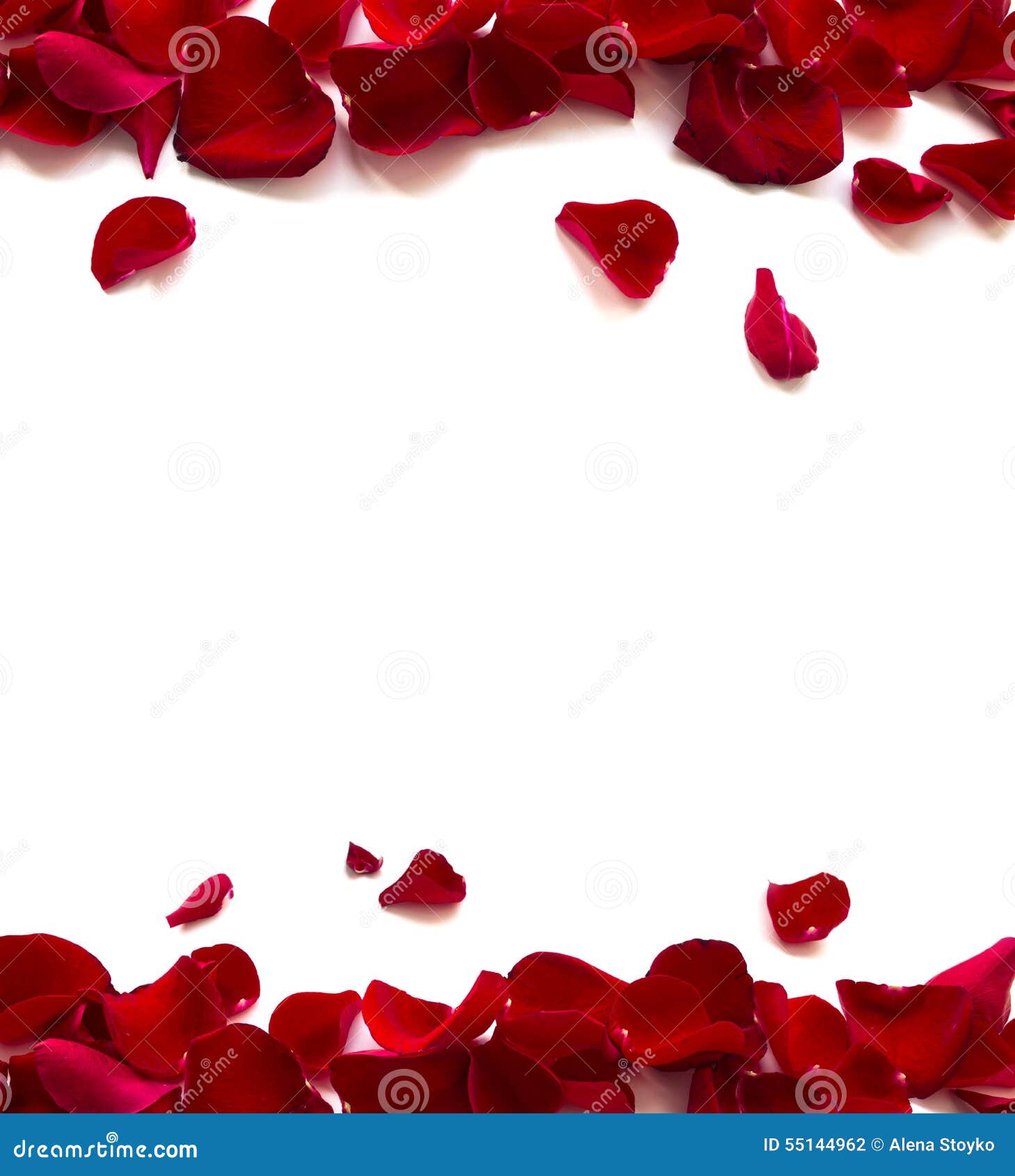 Rose Petals Border stock photo. Image of celebration - 55144962