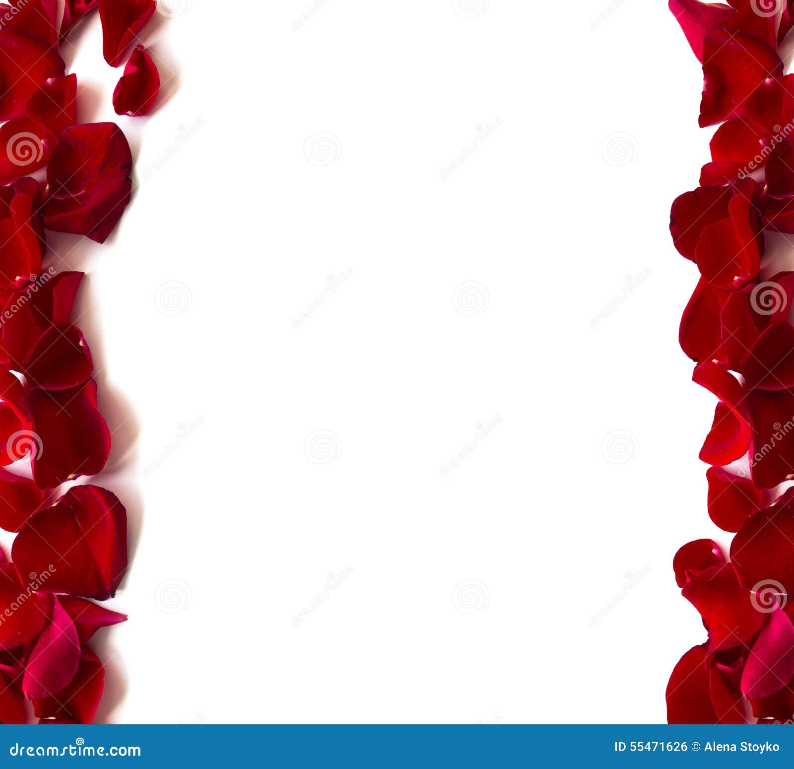 Rose Petals Border stock photo. Image of love, beautiful - 55471626
