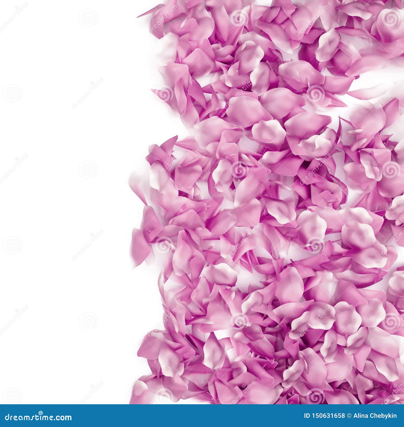 Rose Petals Border on a White Background, 3d Rendering Stock ...
