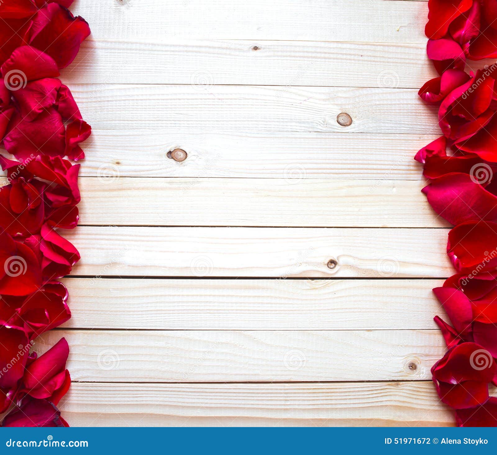 Rose Petals Border stock photo. Image of bouquet, border - 51971672