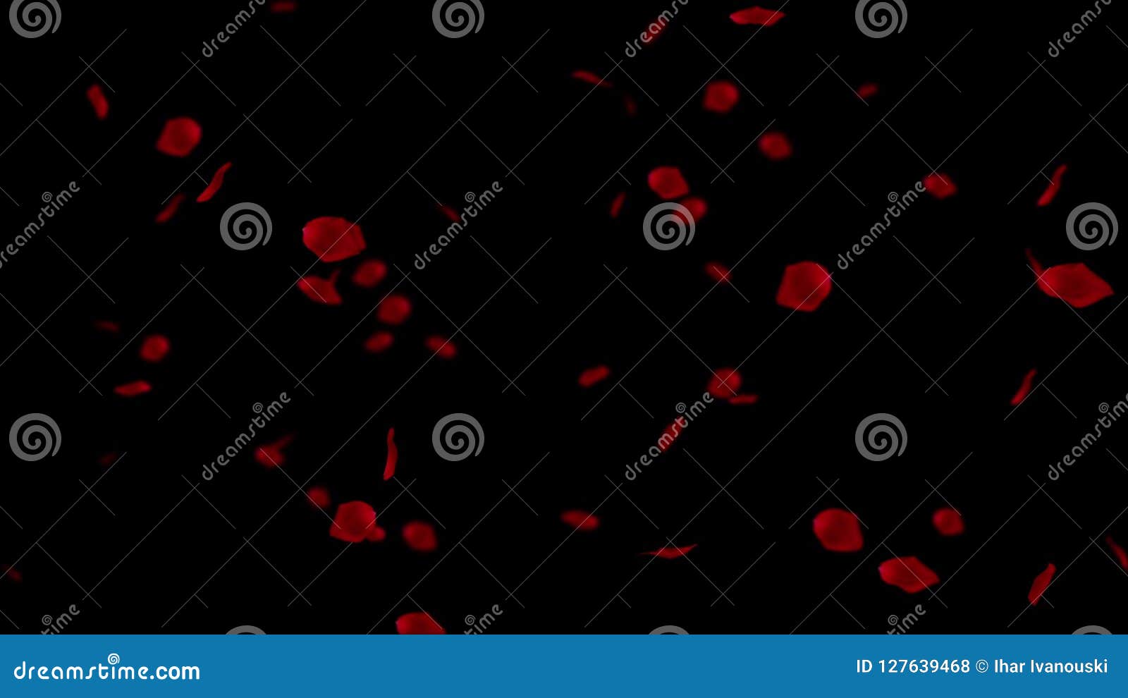 Rose Petals Falling on a Black Background HD Stock Footage - Video of ...