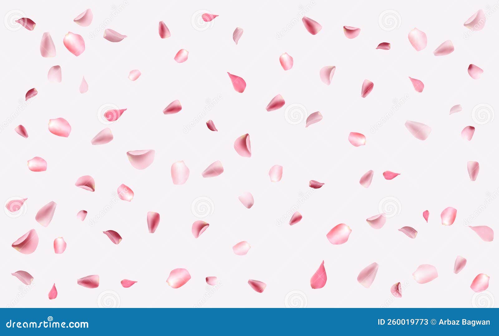 Rose Petals Falling Down Background Stock Vector - Illustration of ...