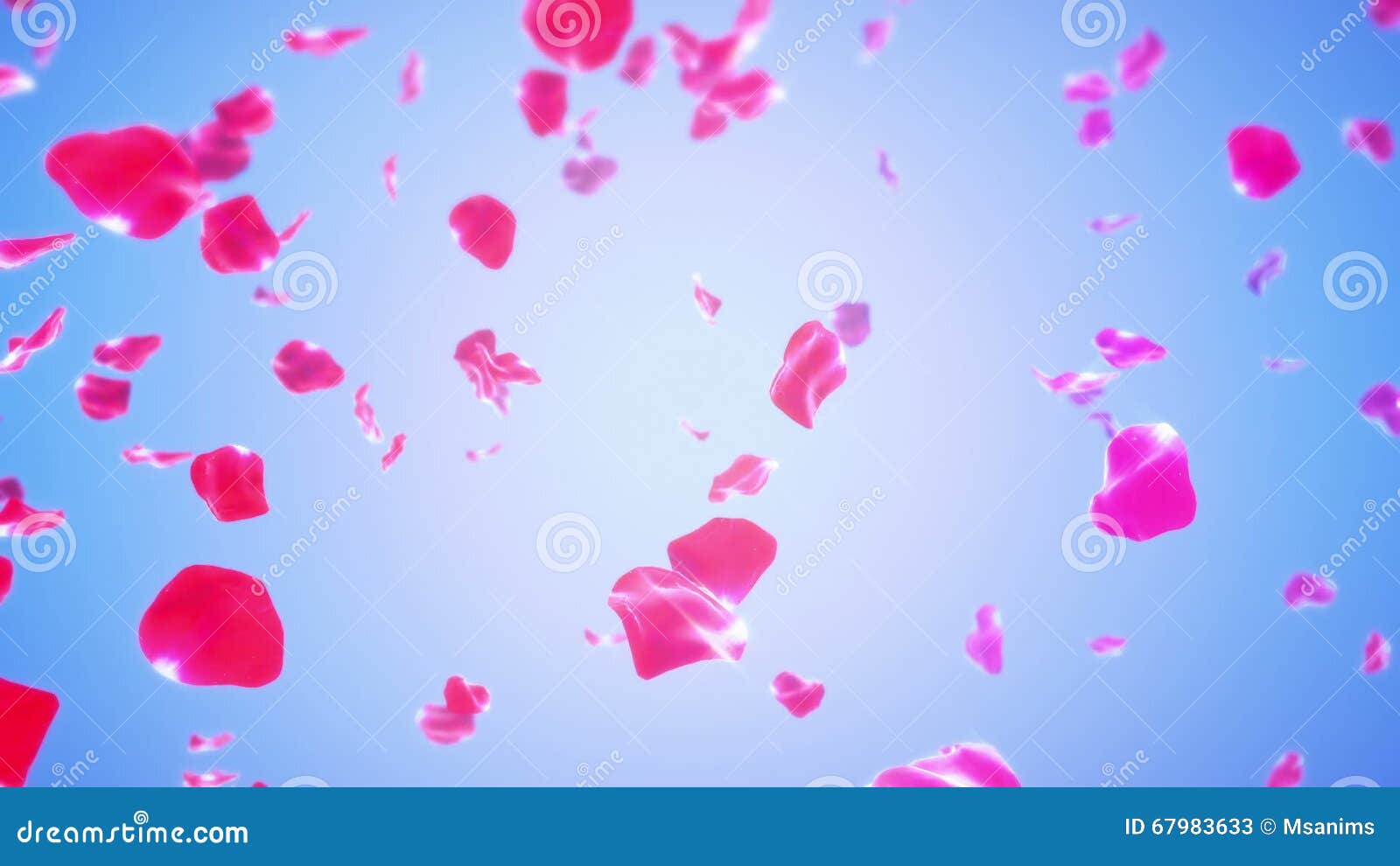 Falling Rose Petals Animation