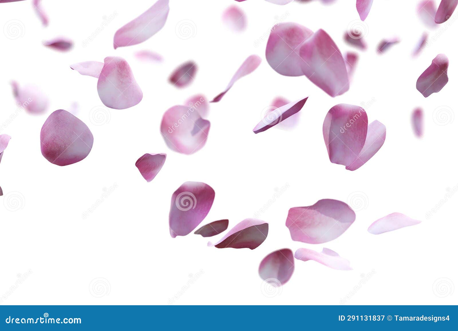 Rose petals flying overlay stock image. Image of copy - 291131837