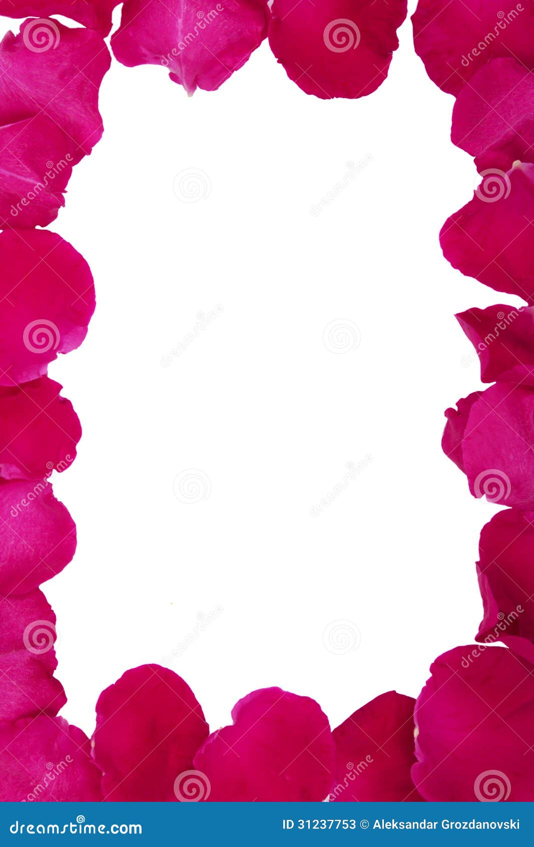 Rose petals frame stock image. Image of girls, florist - 31237753