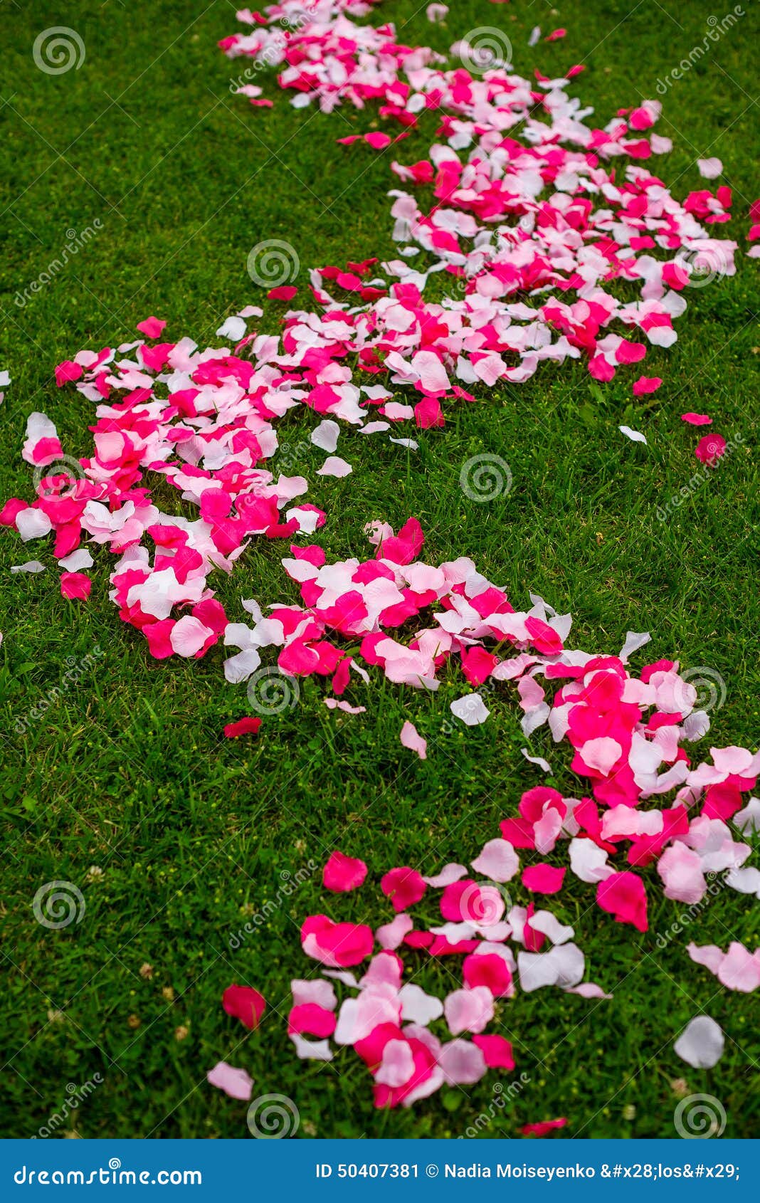 Rose petals on grass stock image. Image of tile, flying - 50407381