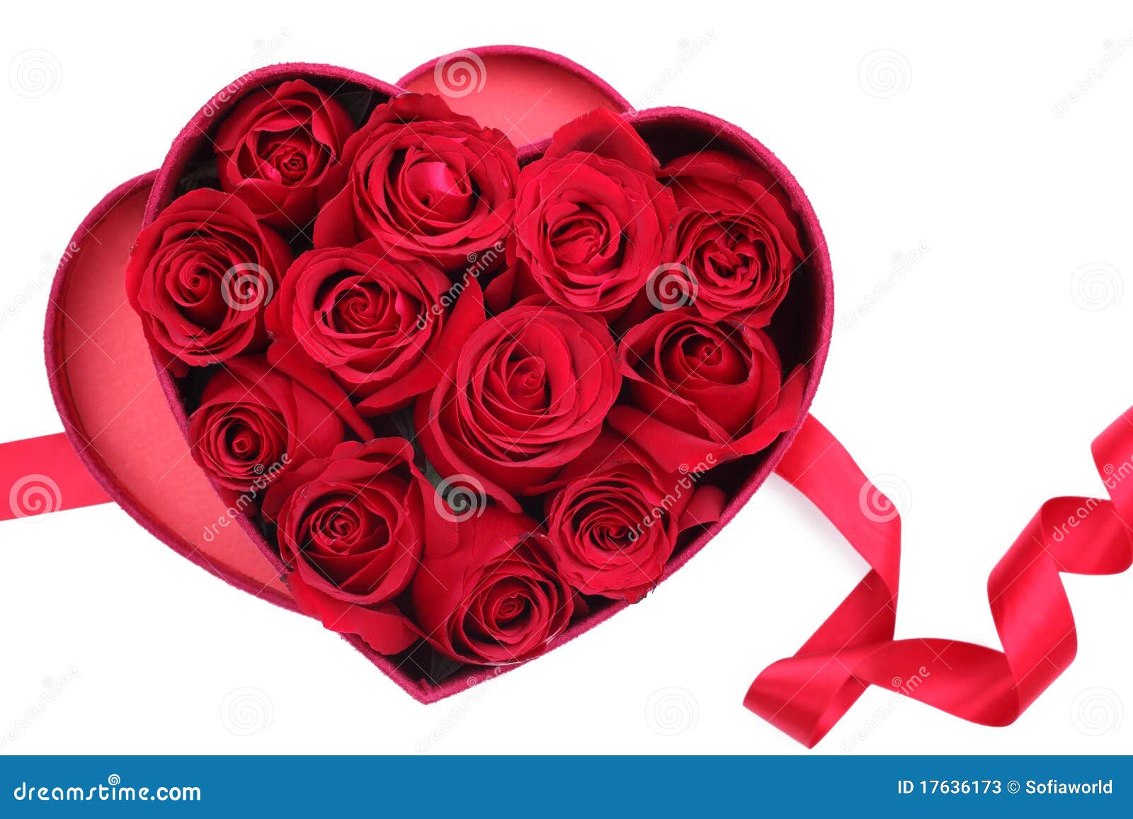 Rose Petals in Heart-shaped Box Stock Image - Image of isolated ...