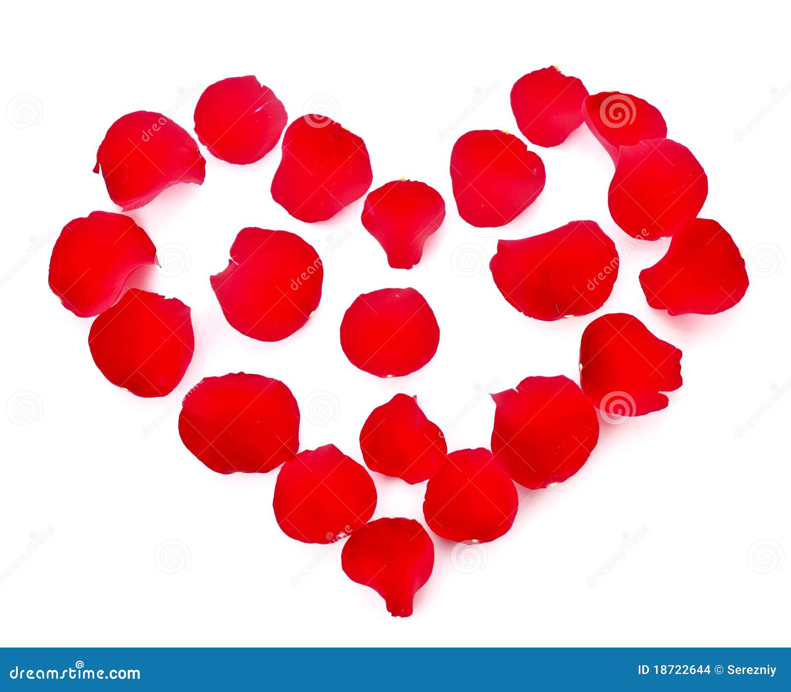 Rose Petals in Heart Symbol Isolated Stock Photo - Image of flower ...