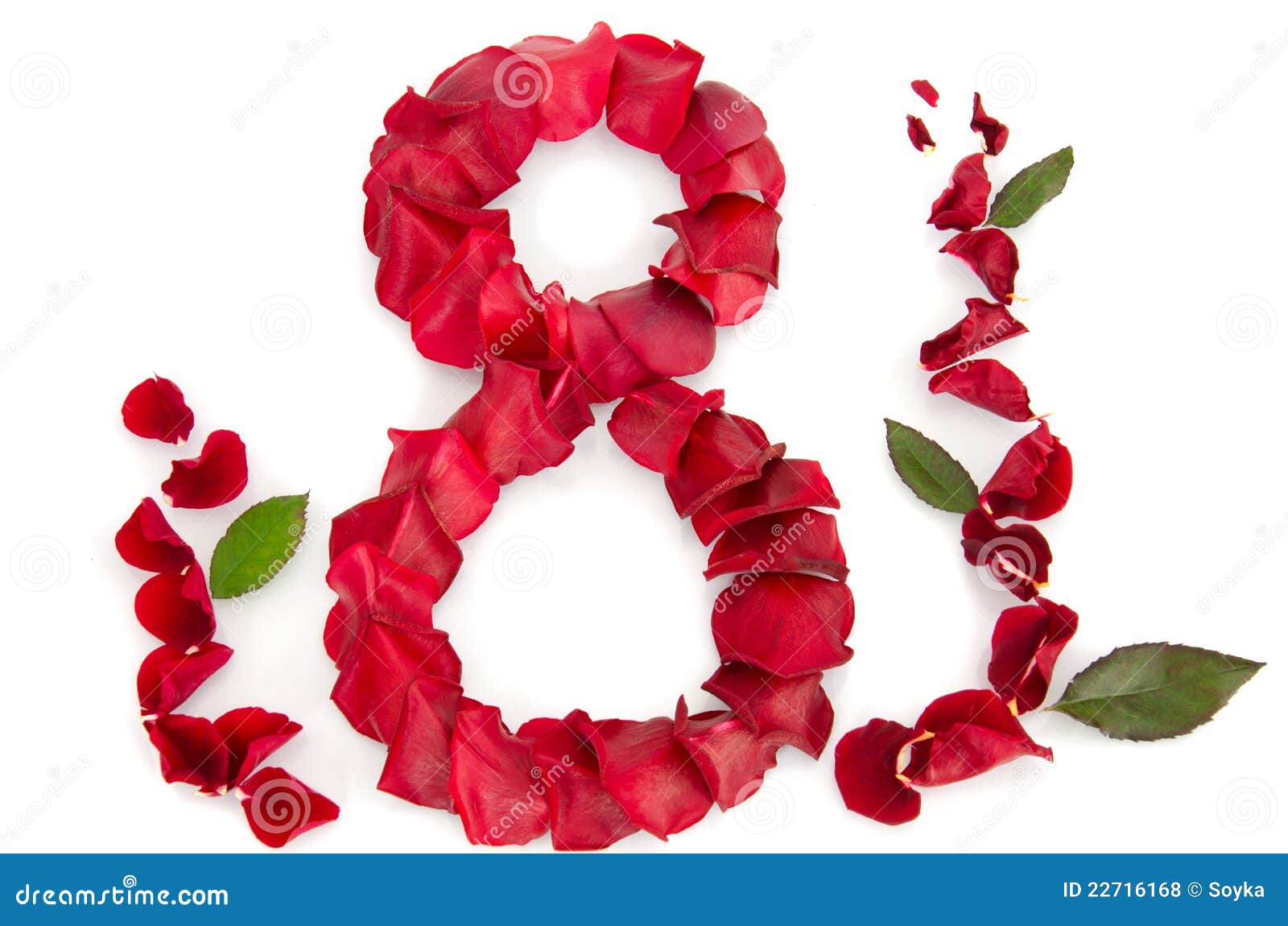 Rose Petals in a Shape of a Eight Stock Photo - Image of floral, eight ...