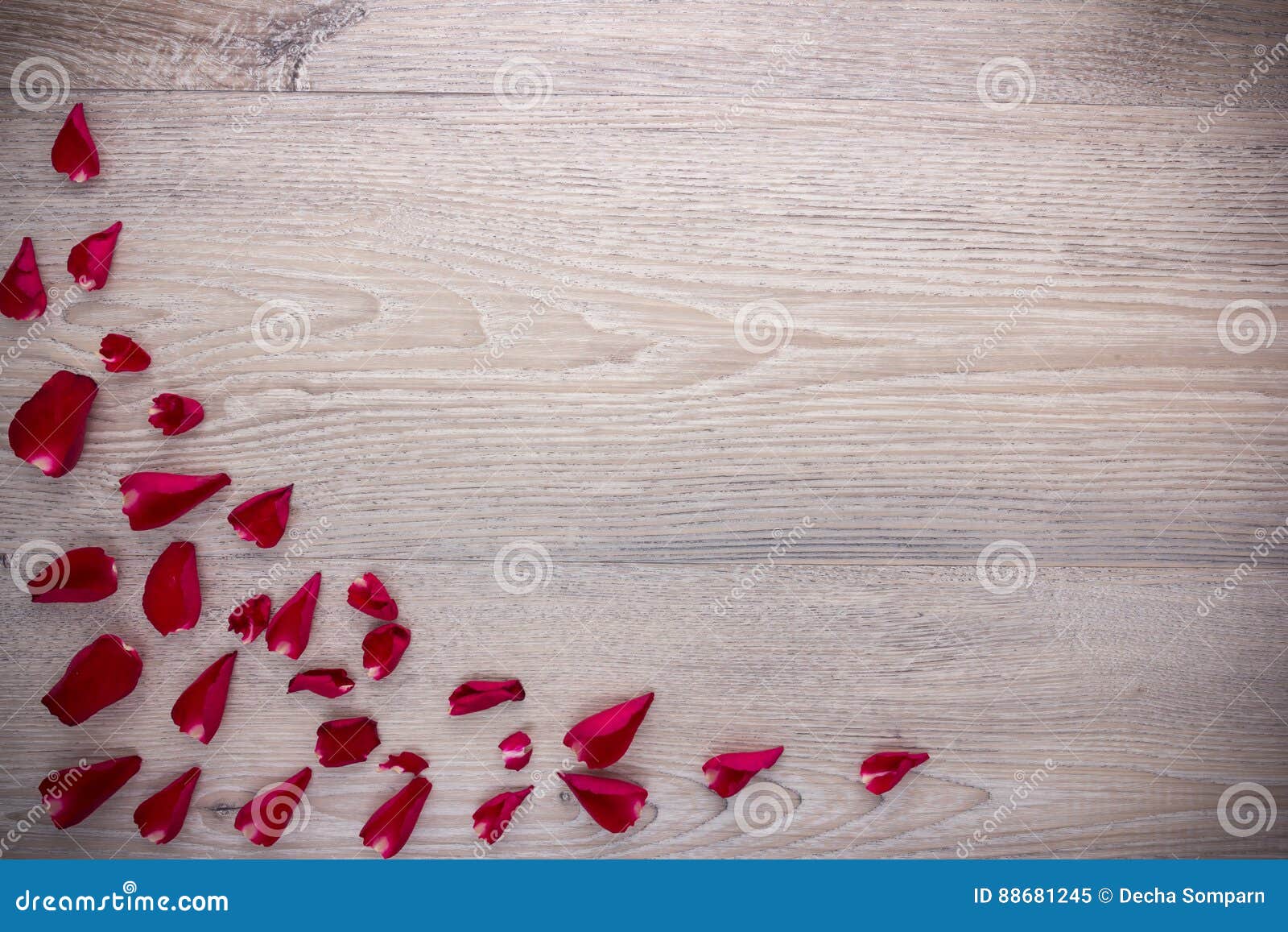 Rose Petals Sprinkle on the Table Stock Image - Image of plant, spring ...