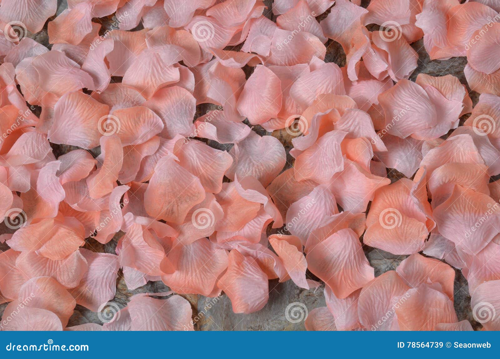Rose Petals Texture and Background Stock Image - Image of flower ...