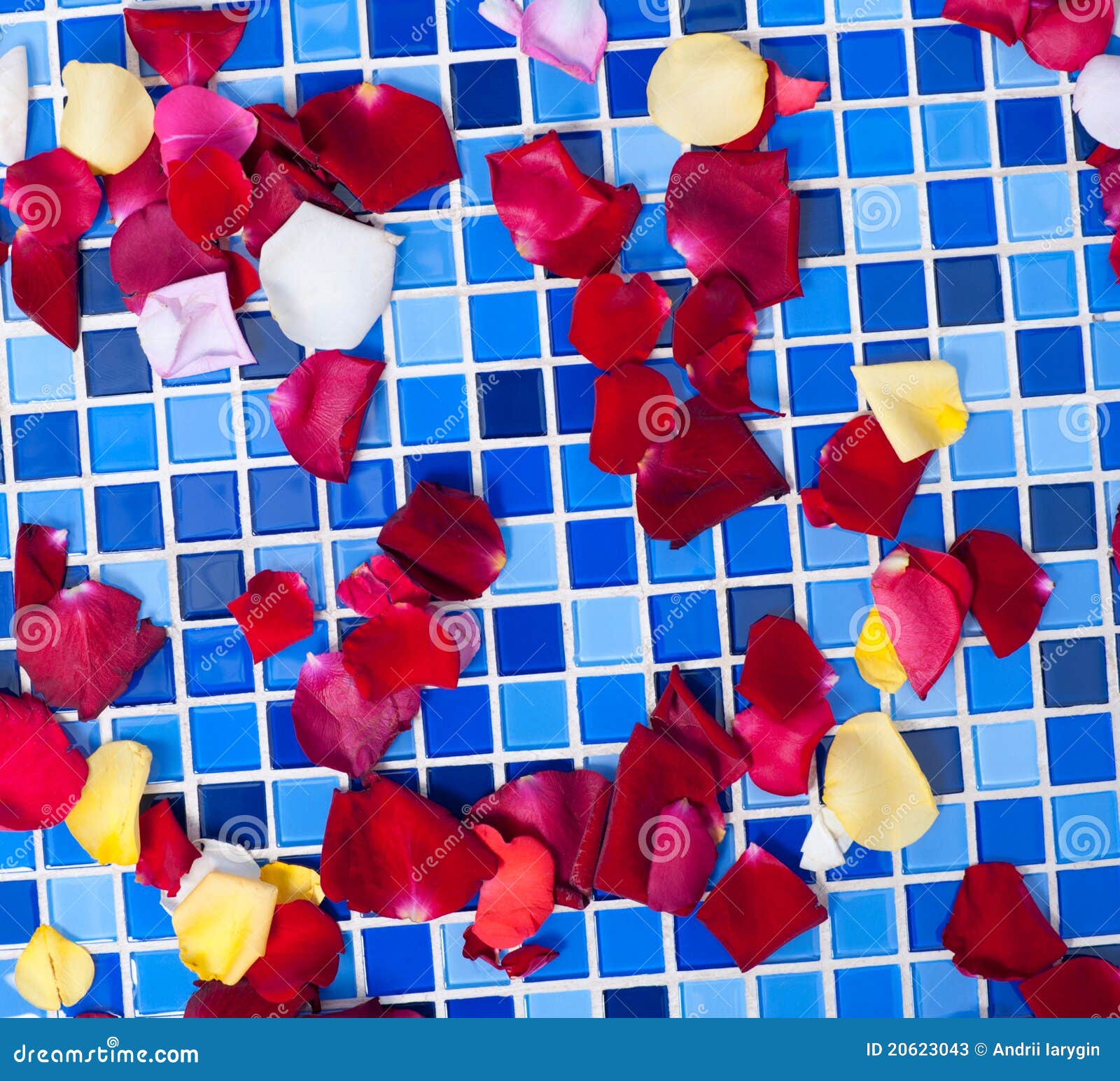 Rose Petals on a Tile Mosaic Stock Image - Image of square, indoors ...