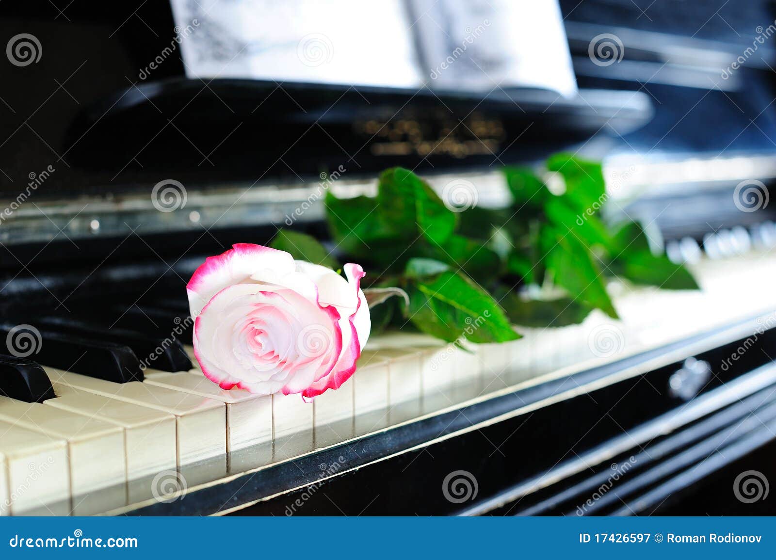 Rose and piano stock image. Image of flower, style, white - 17426597