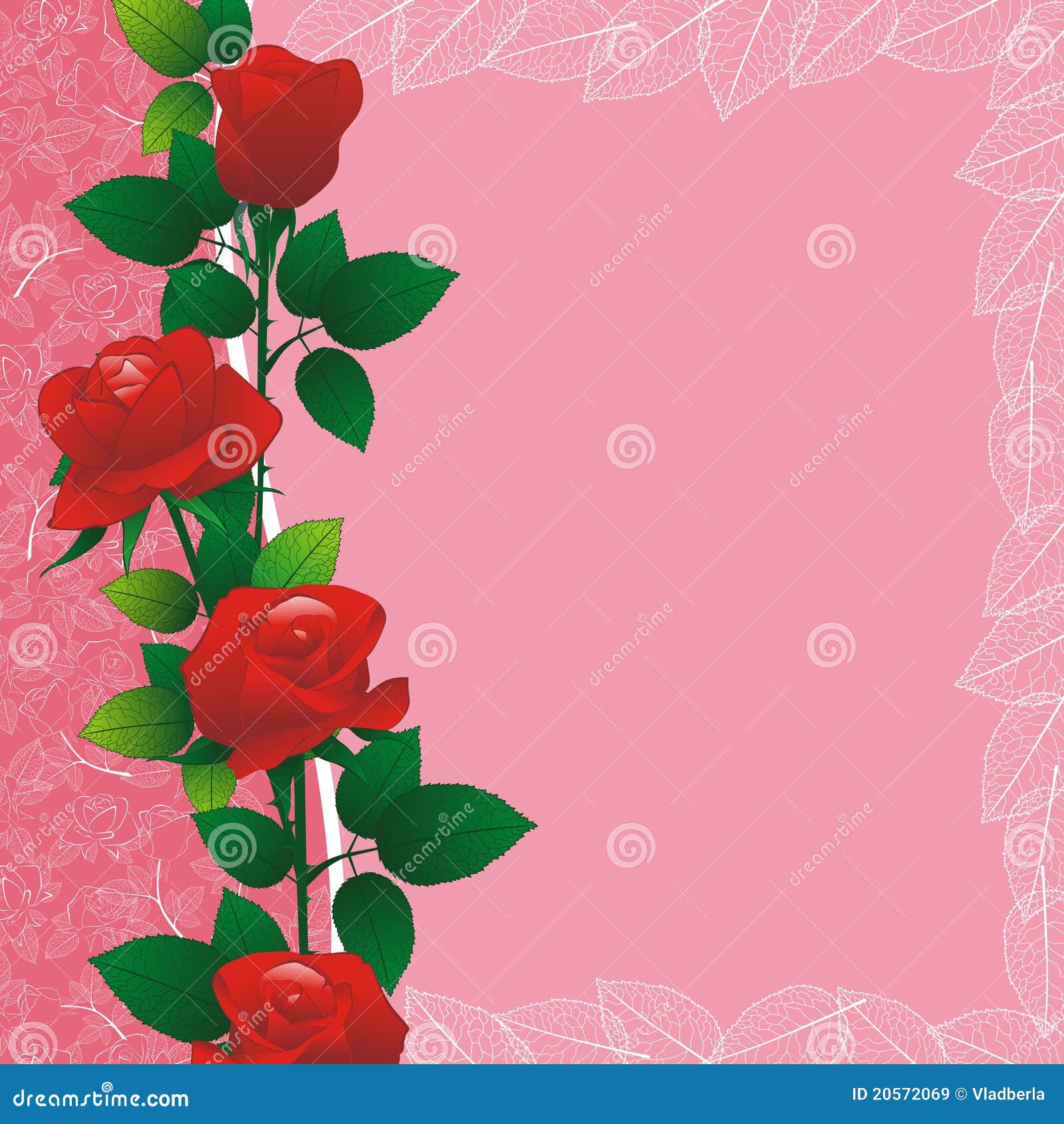 Rose on pink border stock vector. Illustration of frame - 20572069