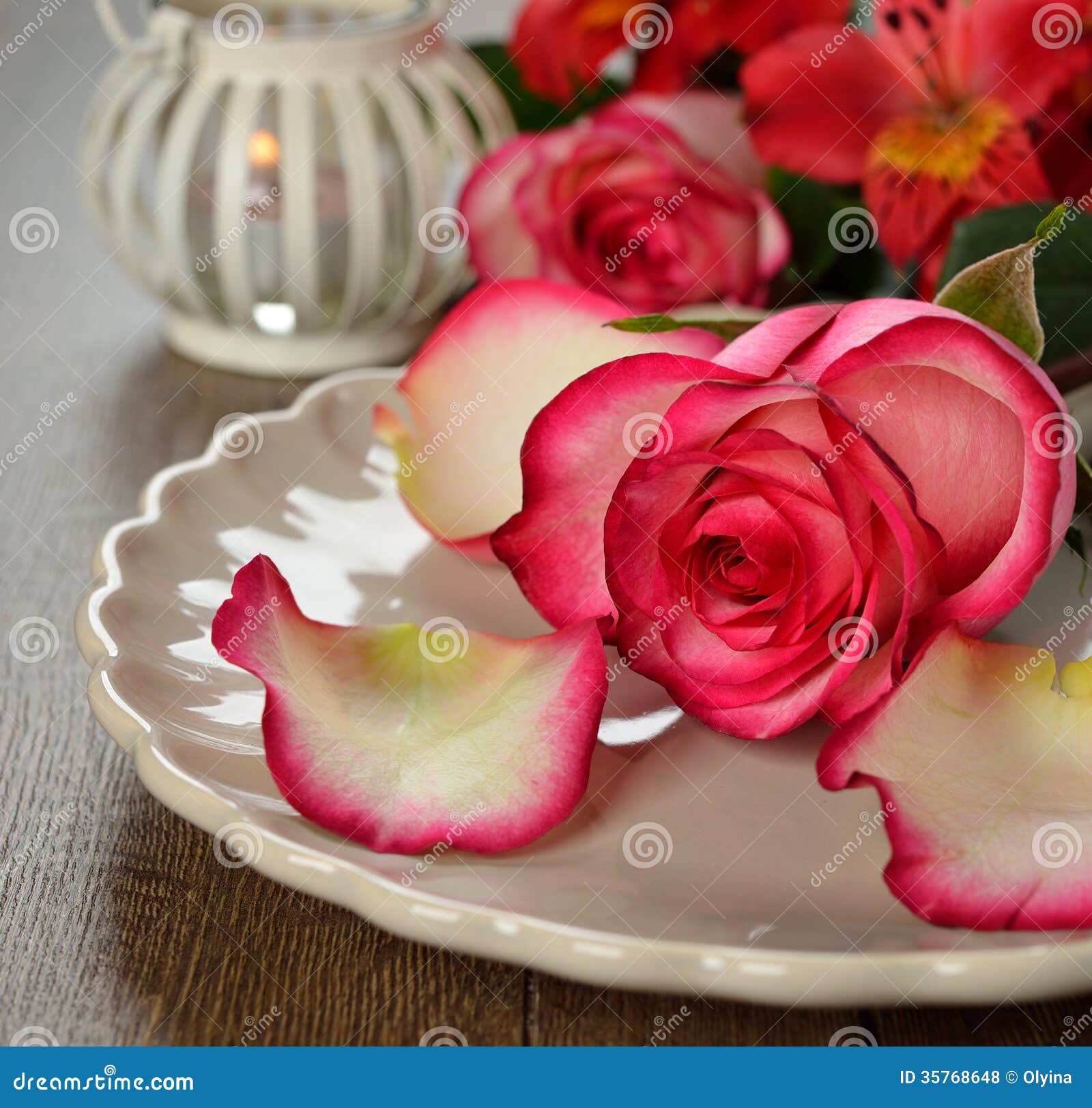 Rose on a plate stock photo. Image of dishes, festive - 35768648