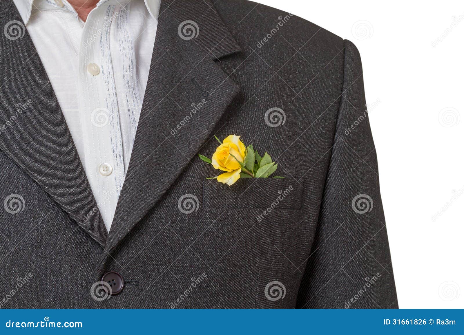 Rose in the pocket stock photo. Image of holidays, love - 31661826