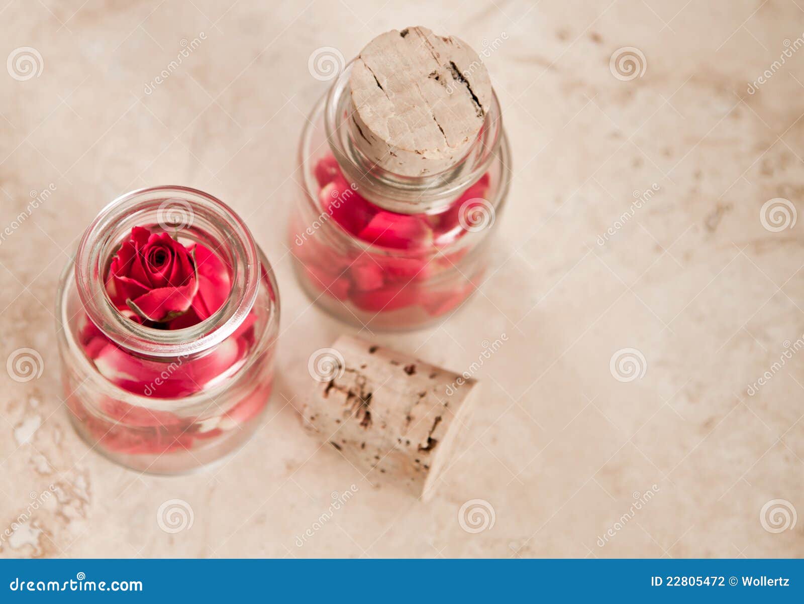 Rose potion stock photo. Image of gift, romance, florist - 22805472