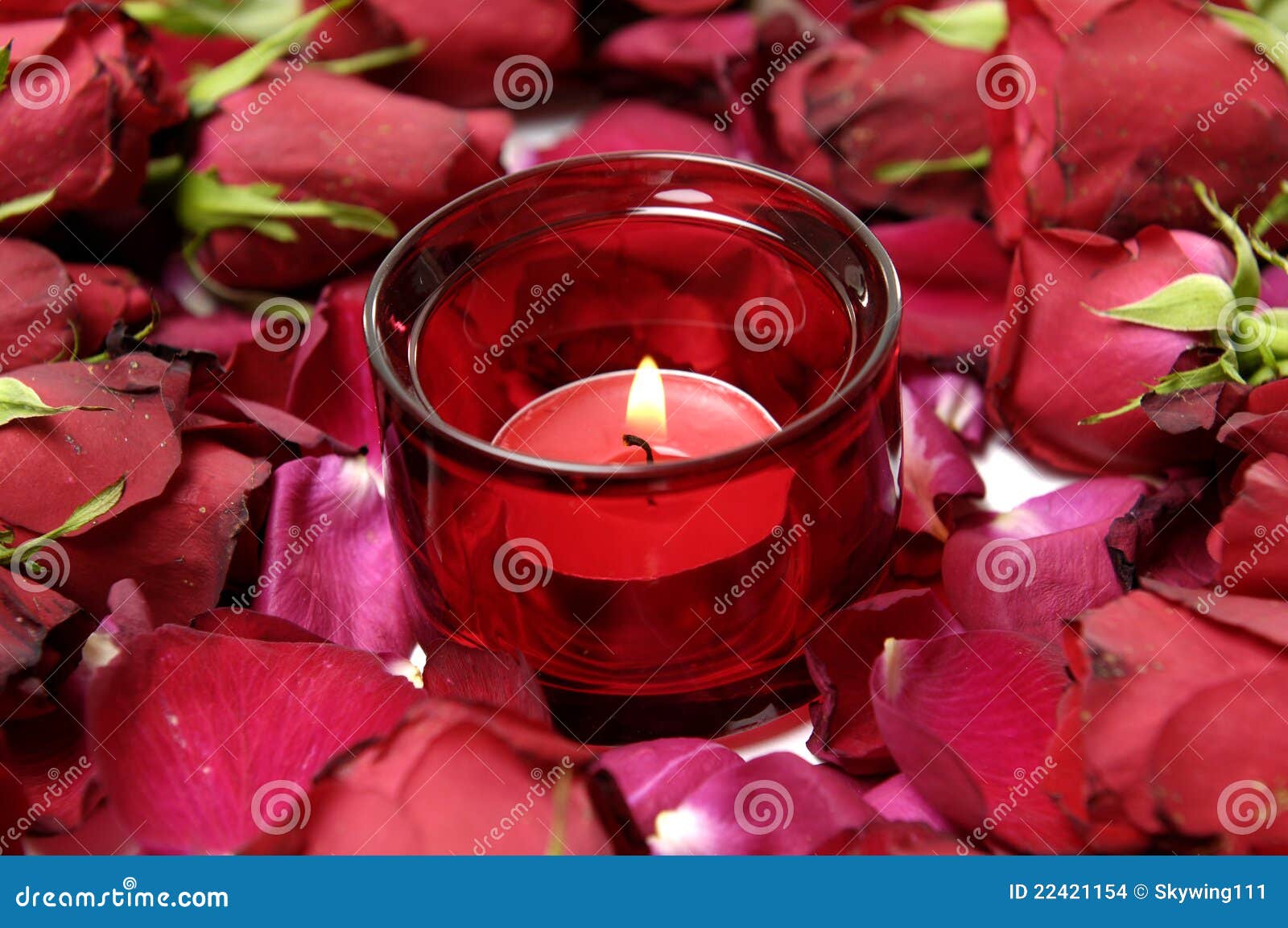Rose and red candle stock photo. Image of natural, romance - 22421154