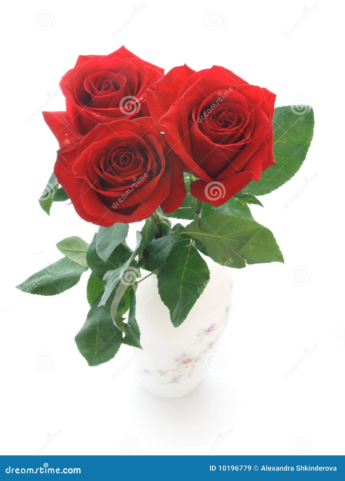 Rose of red color stock image. Image of petal, nature - 10196779