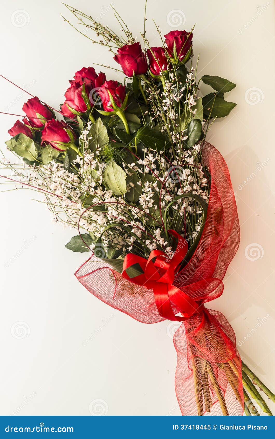 Rose stock image. Image of gift, green, passion, ribbons - 37418445