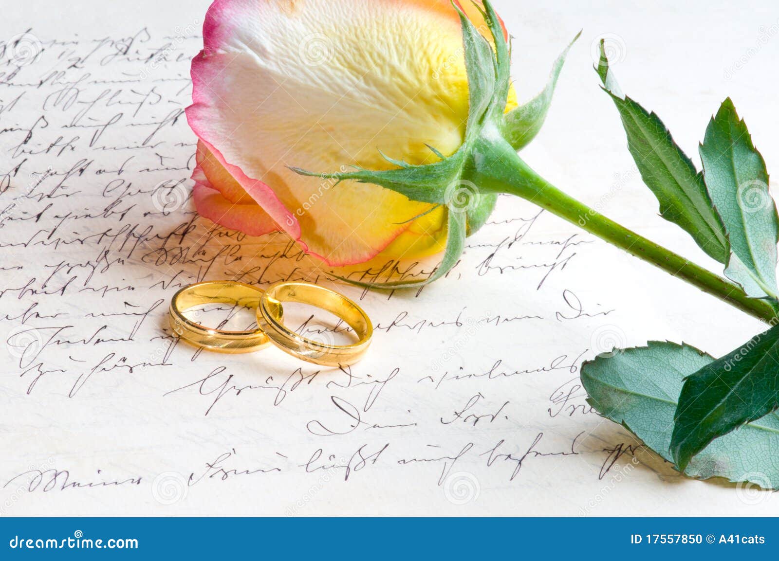 Rose, Rings Over Handwritten Letter Stock Photography | CartoonDealer ...
