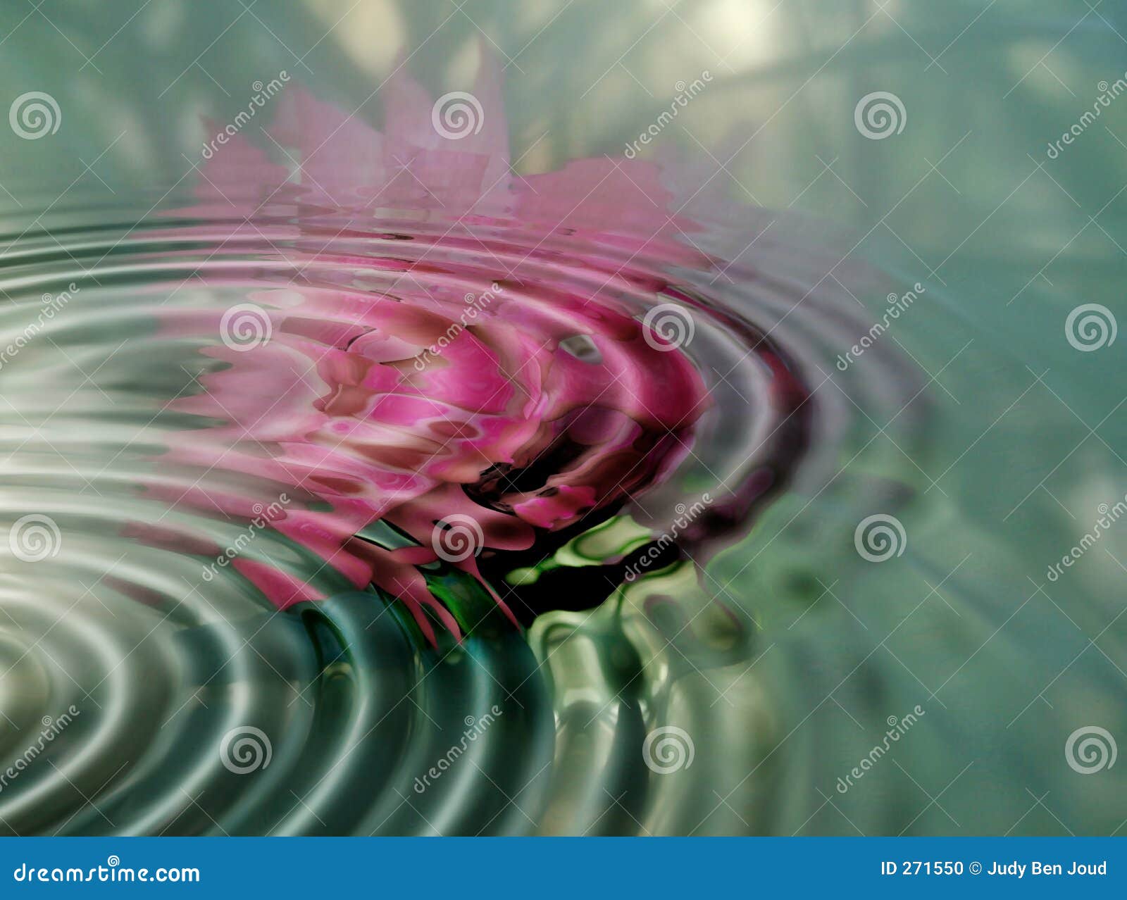Rose Ripples Stock Illustrations – 105 Rose Ripples Stock Illustrations ...