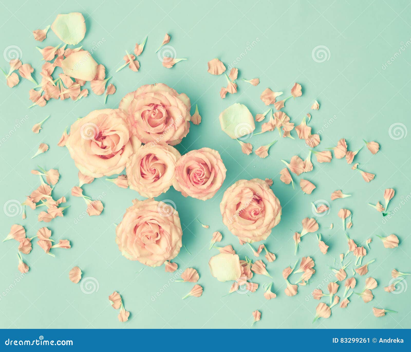 Rose rosa sopra la menta immagine stock. Immagine di carta - 83299261
