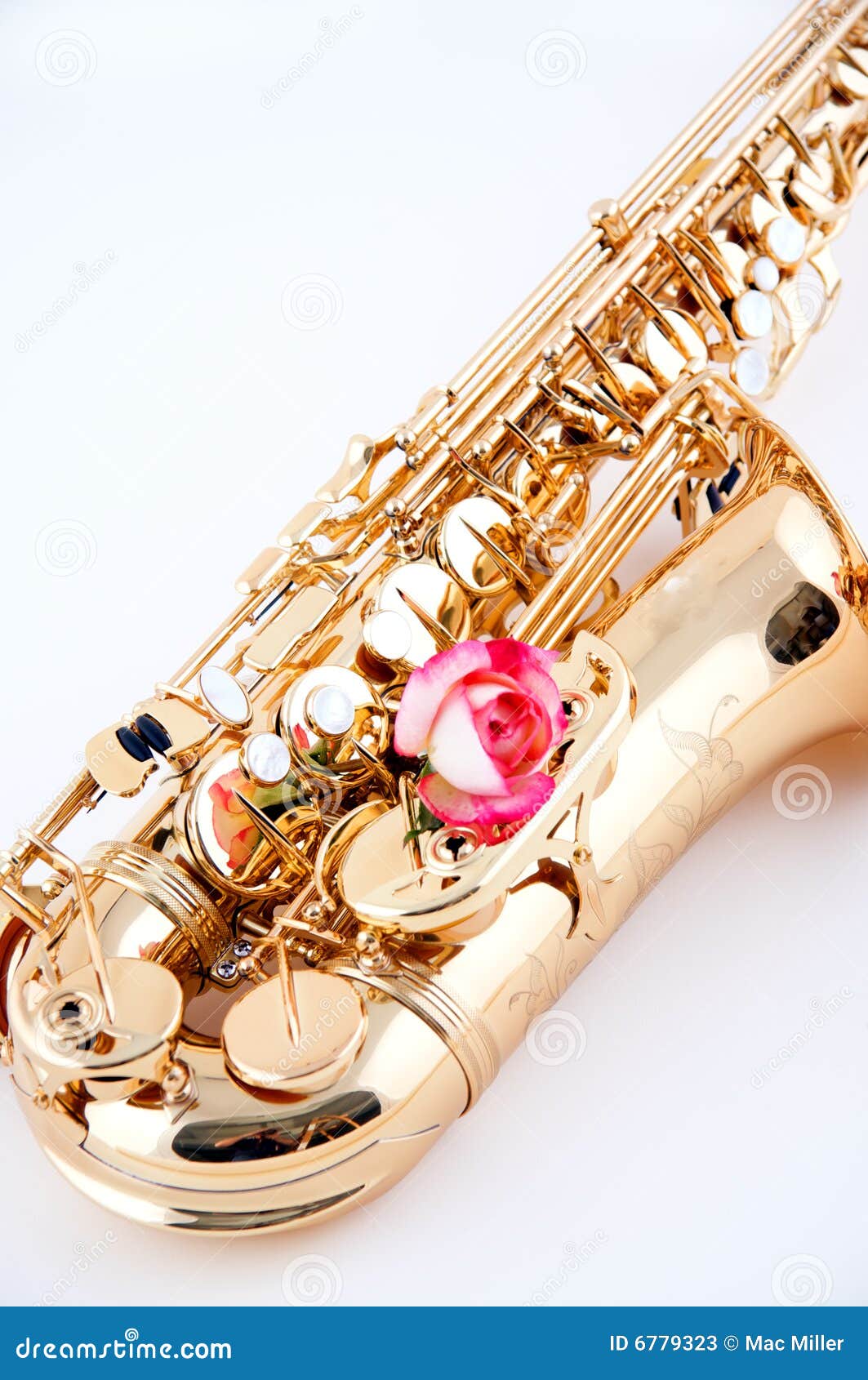 Rose Rosada En Un Saxofón Del Oro Imagen de archivo - Imagen de alto ...