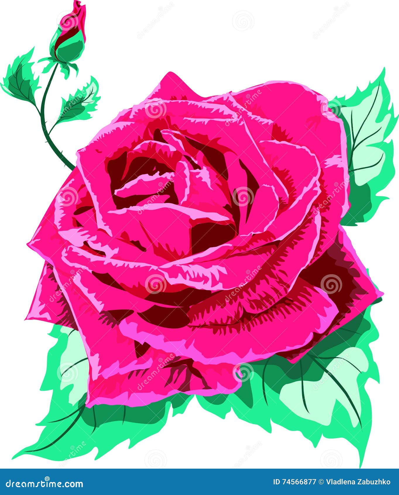 Rose, rose bud stock vector. Illustration of rose, full - 74566877