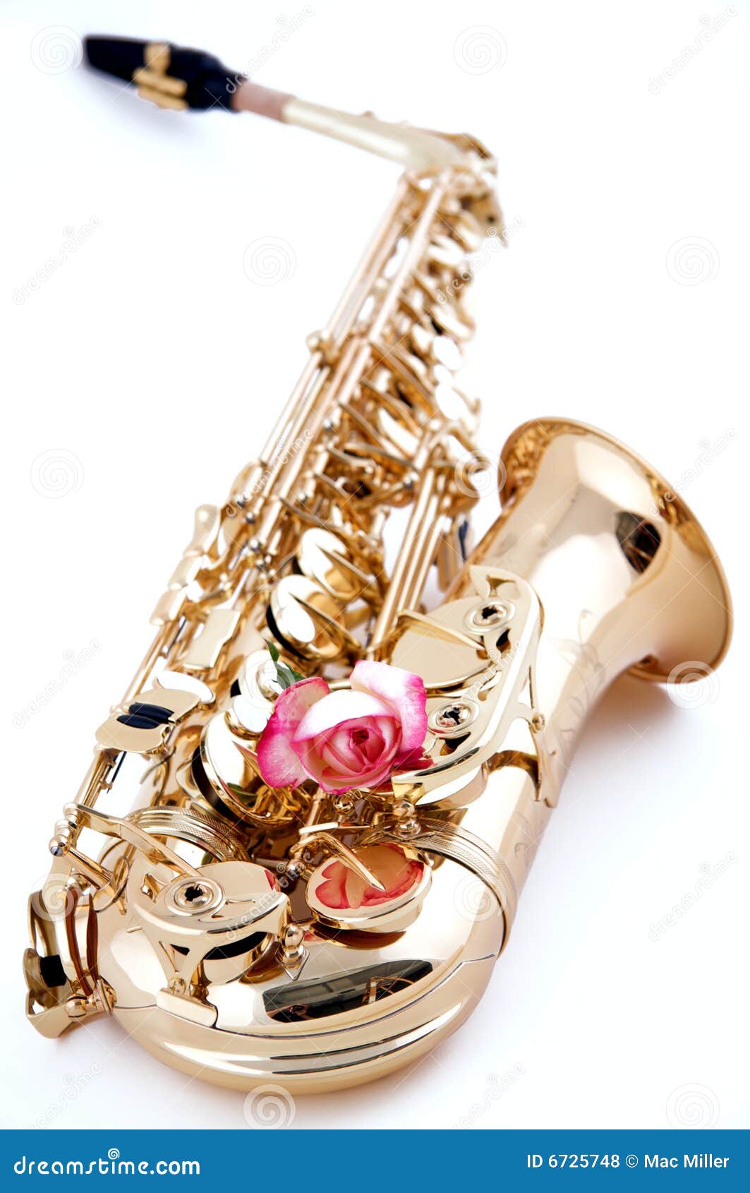 Rose Rose De Saxophone D'or Photo stock - Image du saxophone, mélodies ...