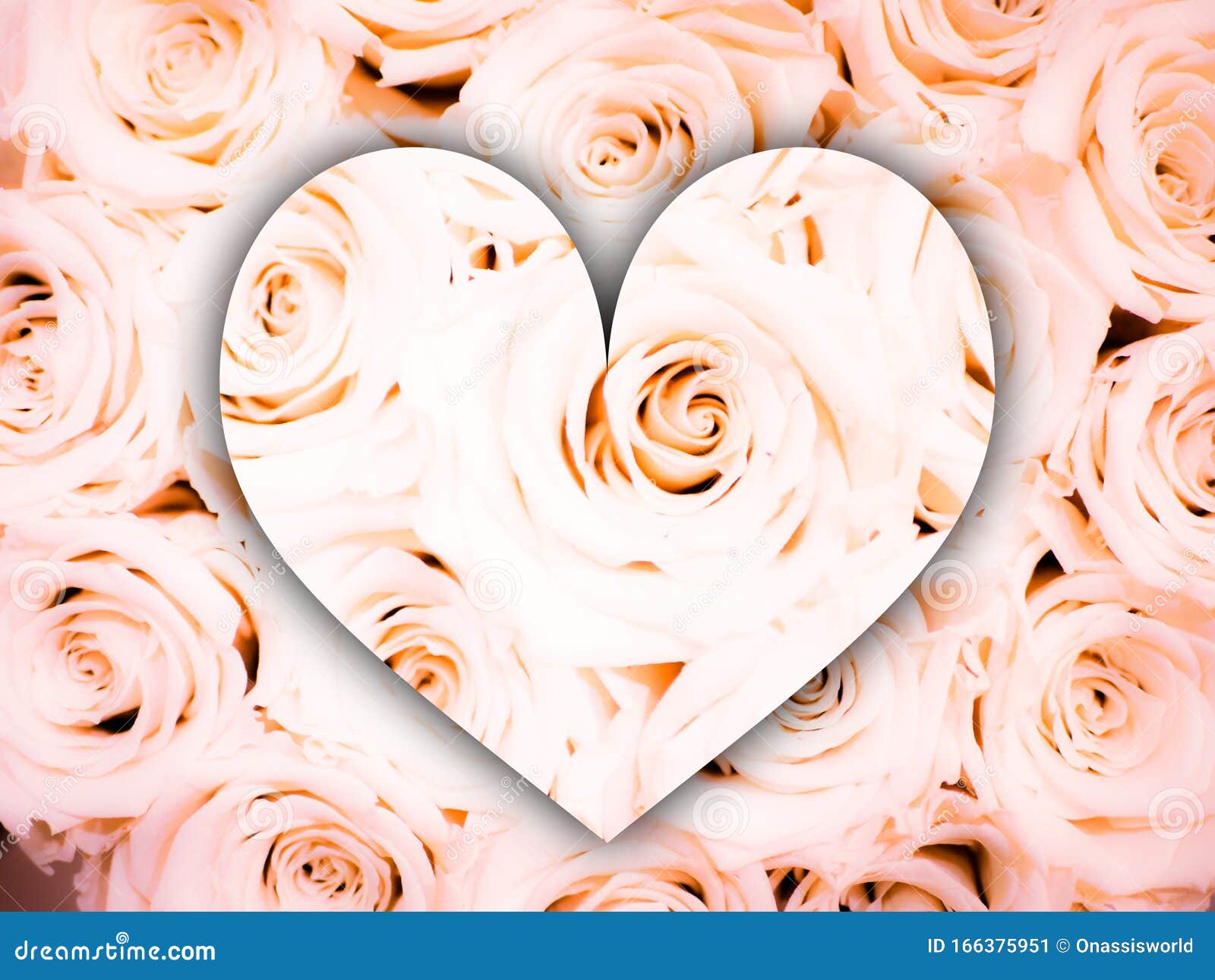 Rose Roses Cutouts Abstract Art Stock Image - Image of cutouts, rose ...