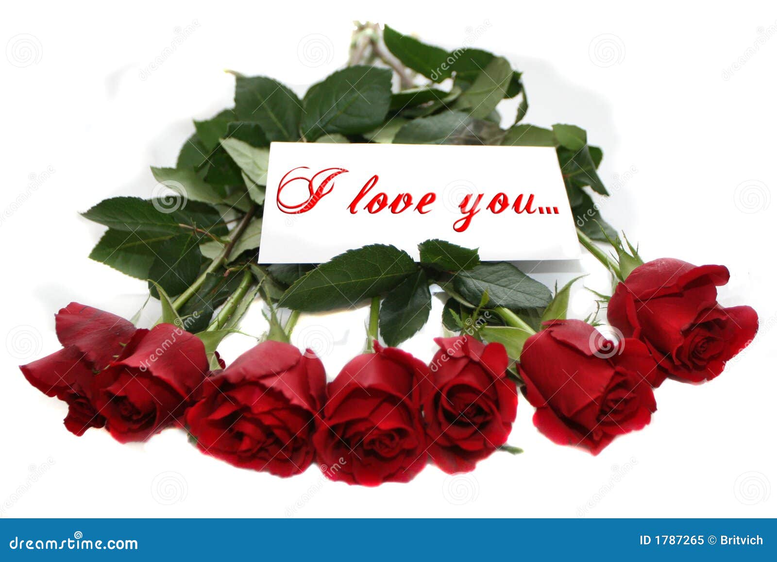 Rose Rosse Con La Nota Ti Amo Immagine Stock - Immagine di verde, rosa ...