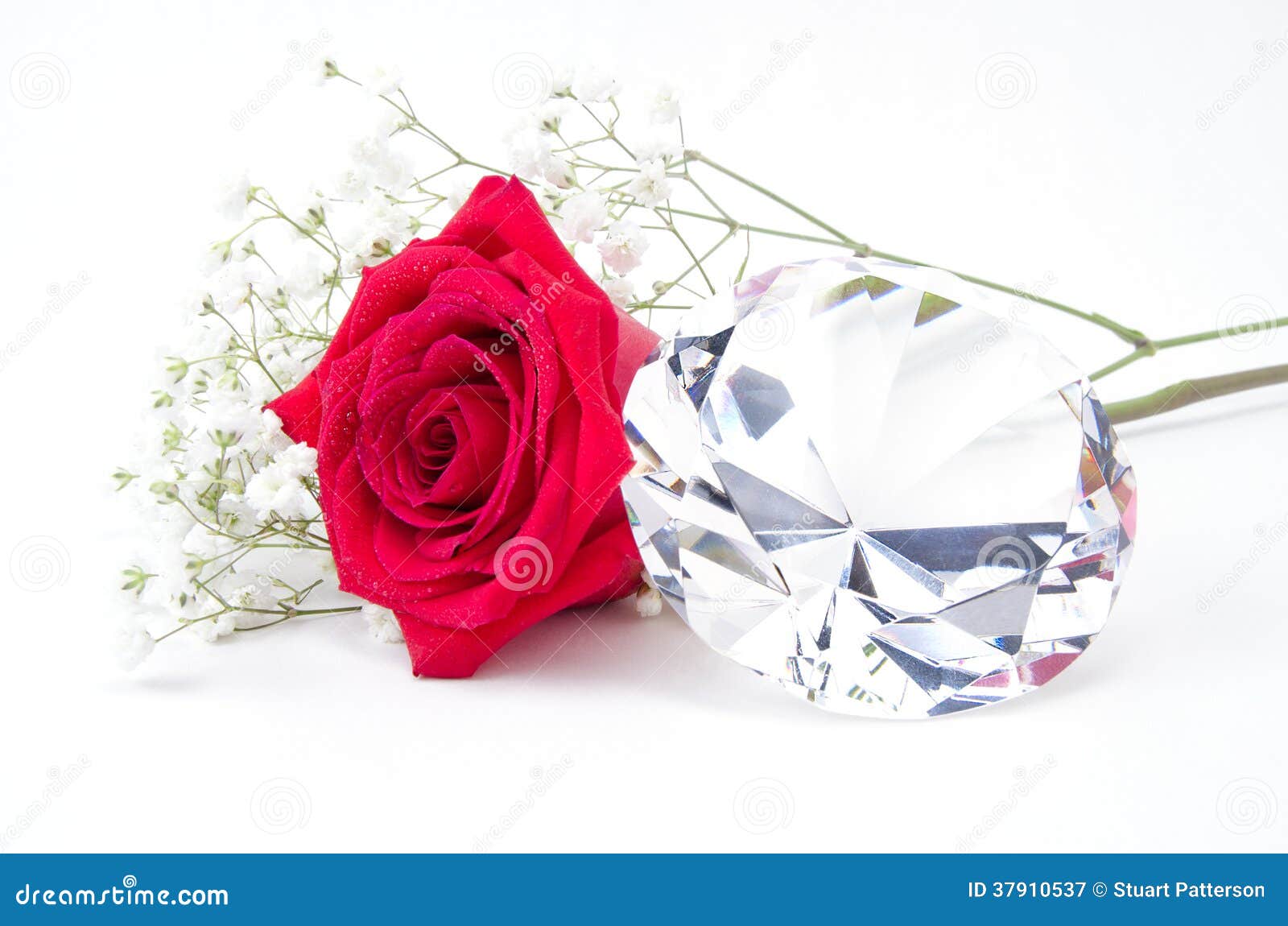 Rose rouge et diamant image stock. Image du amour, bouquet - 37910537