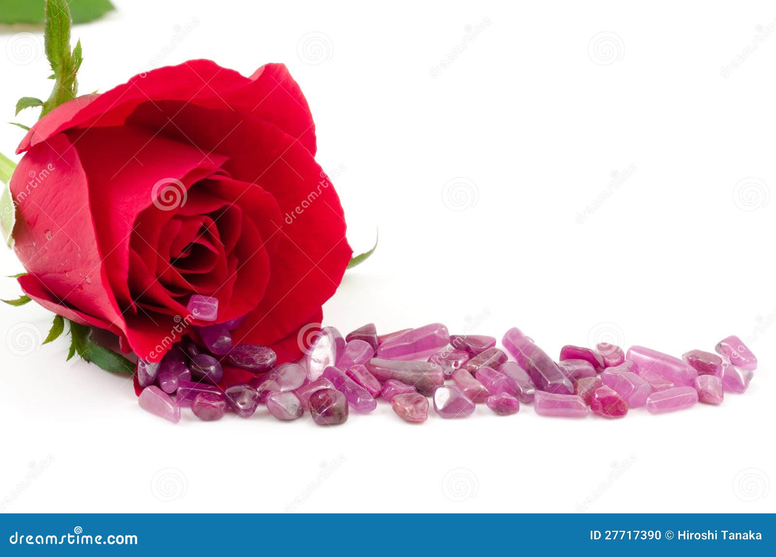 Rose and ruby stock photo. Image of flower, beautiful - 27717390