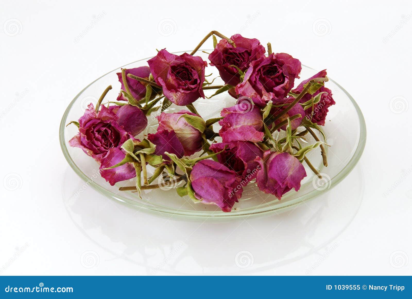 Rose secche immagine stock. Immagine di decori, conservato - 1039555