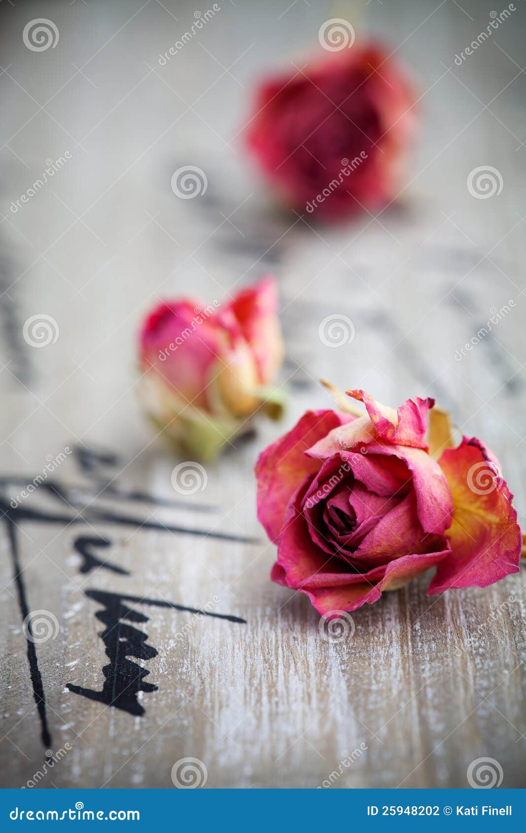 Rose secche fotografia stock. Immagine di isolato, fiori - 25948202