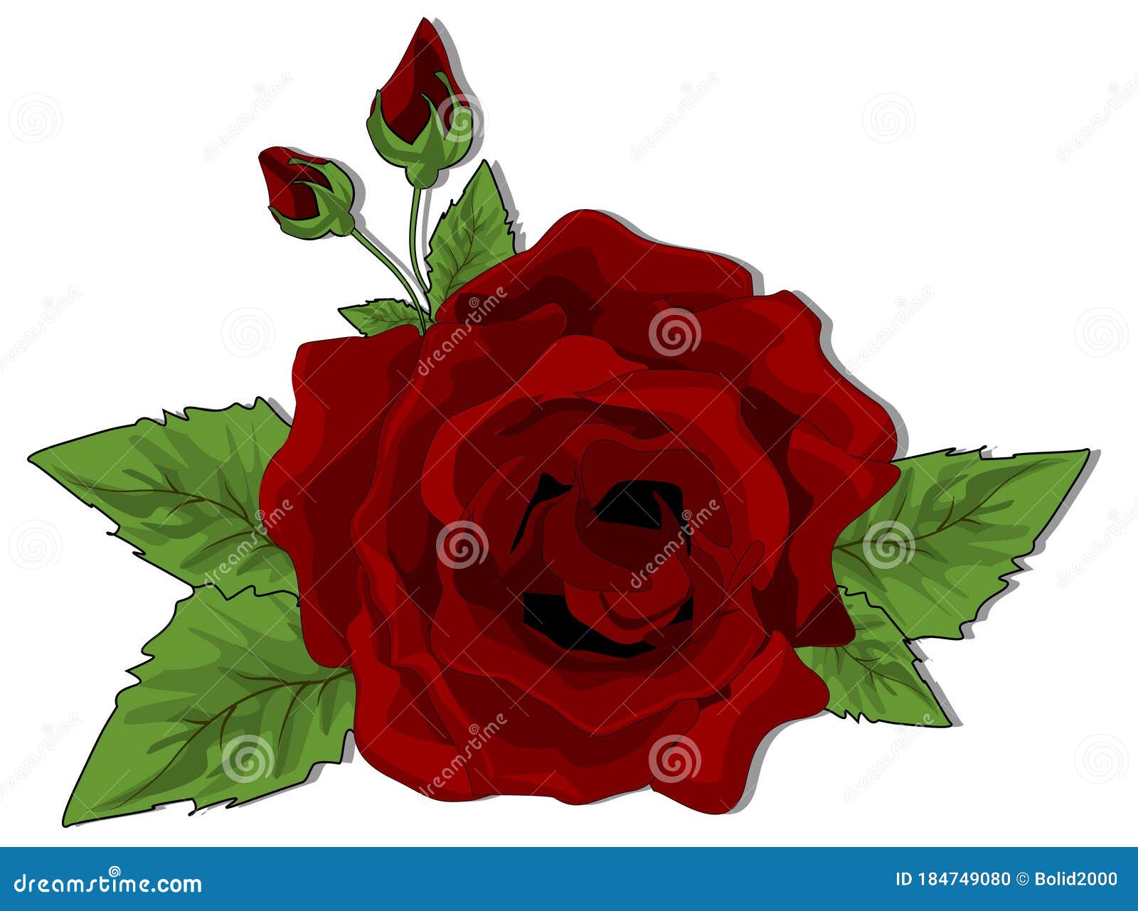 Rose with shadow stock illustration. Illustration of store - 184749080