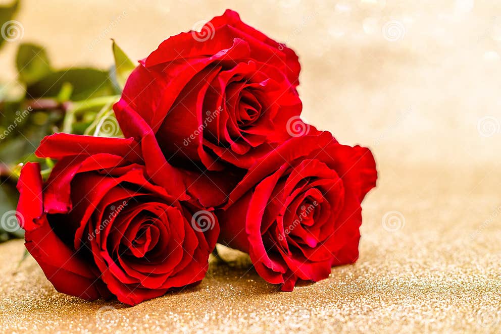 Rose on a Shiny Gold Background Stock Photo - Image of spring, beauty ...