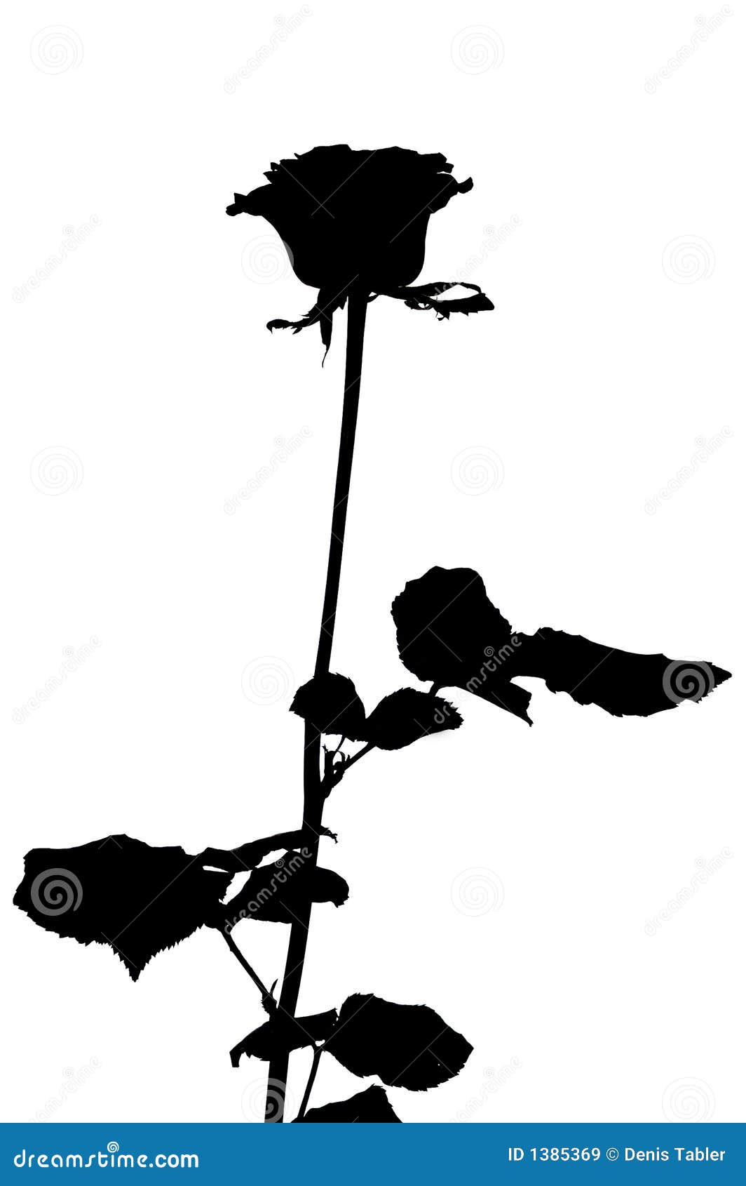 Rose silhouette stock illustration. Illustration of love - 1385369