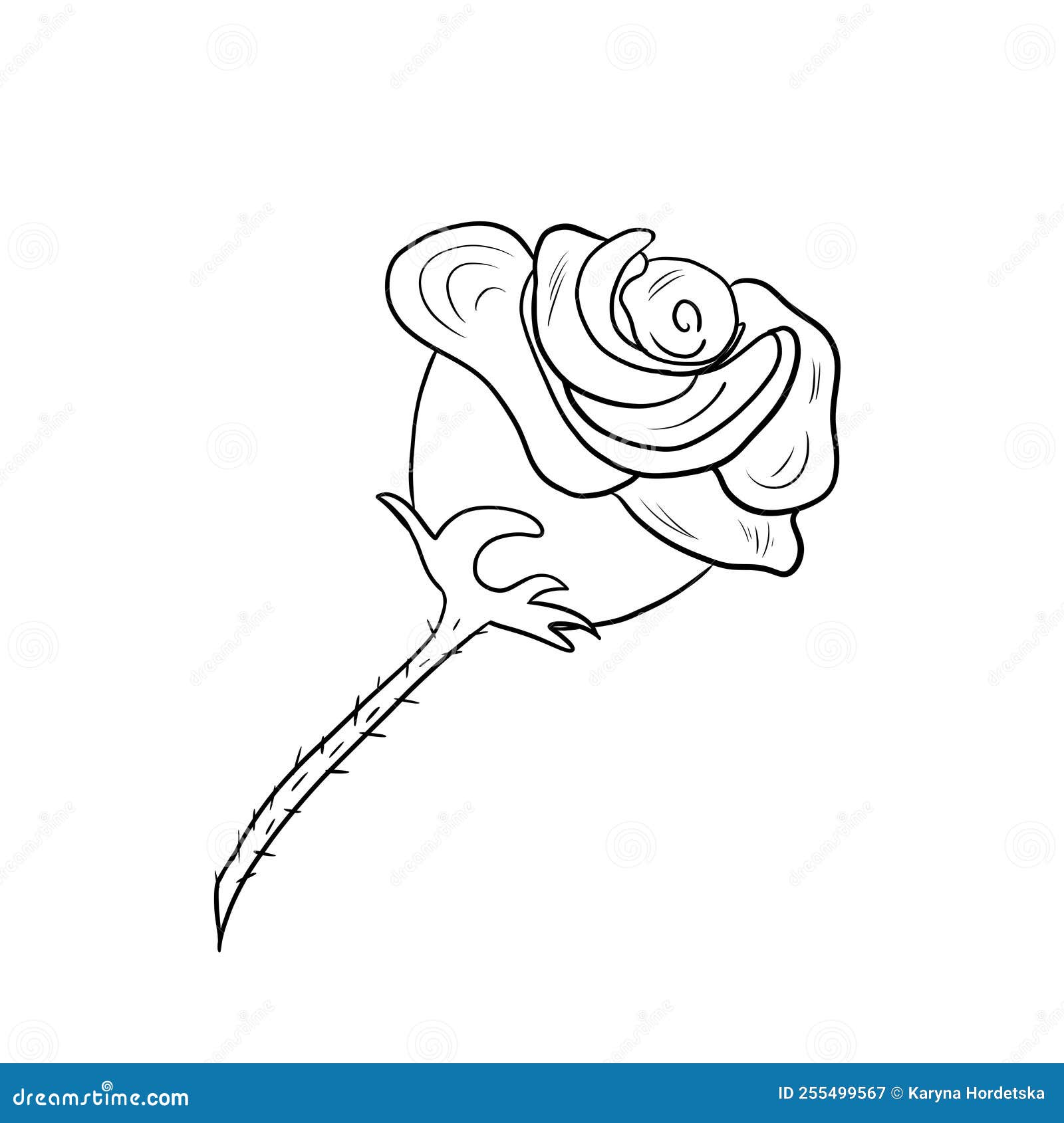 The Rose, Sketch Style, Line Art Illustration Stock Illustration ...