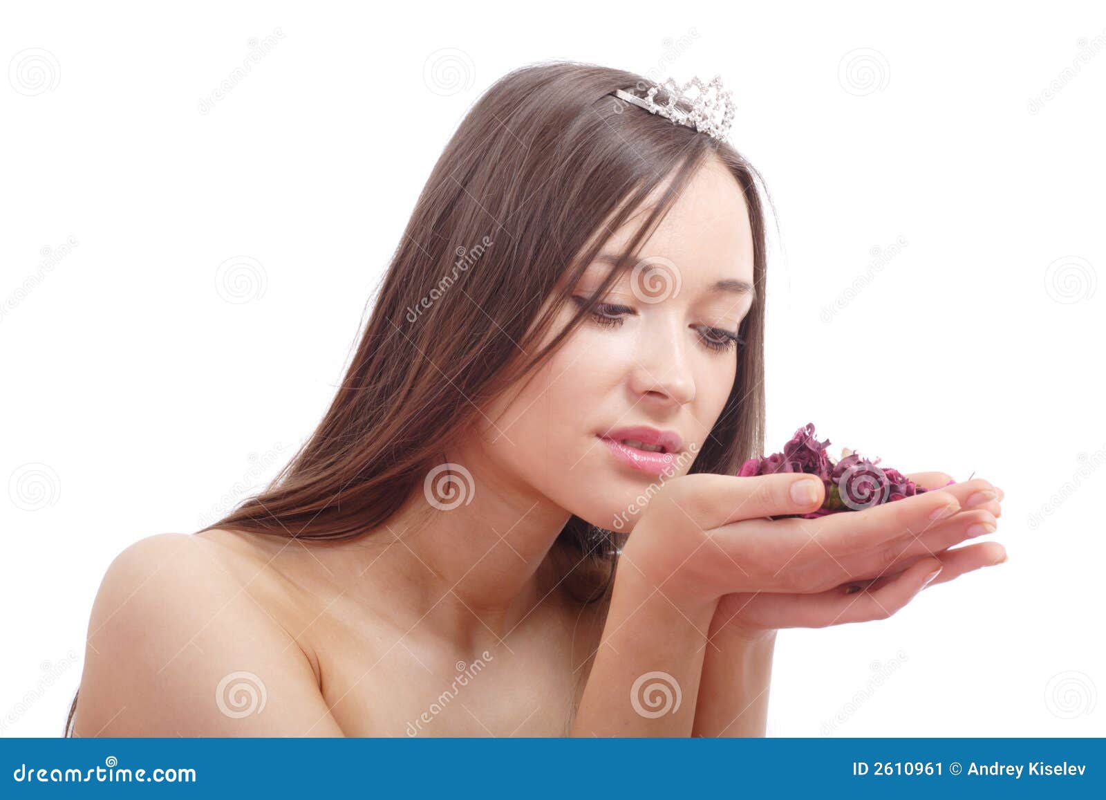 Rose Skin Picture. Image: 2610961