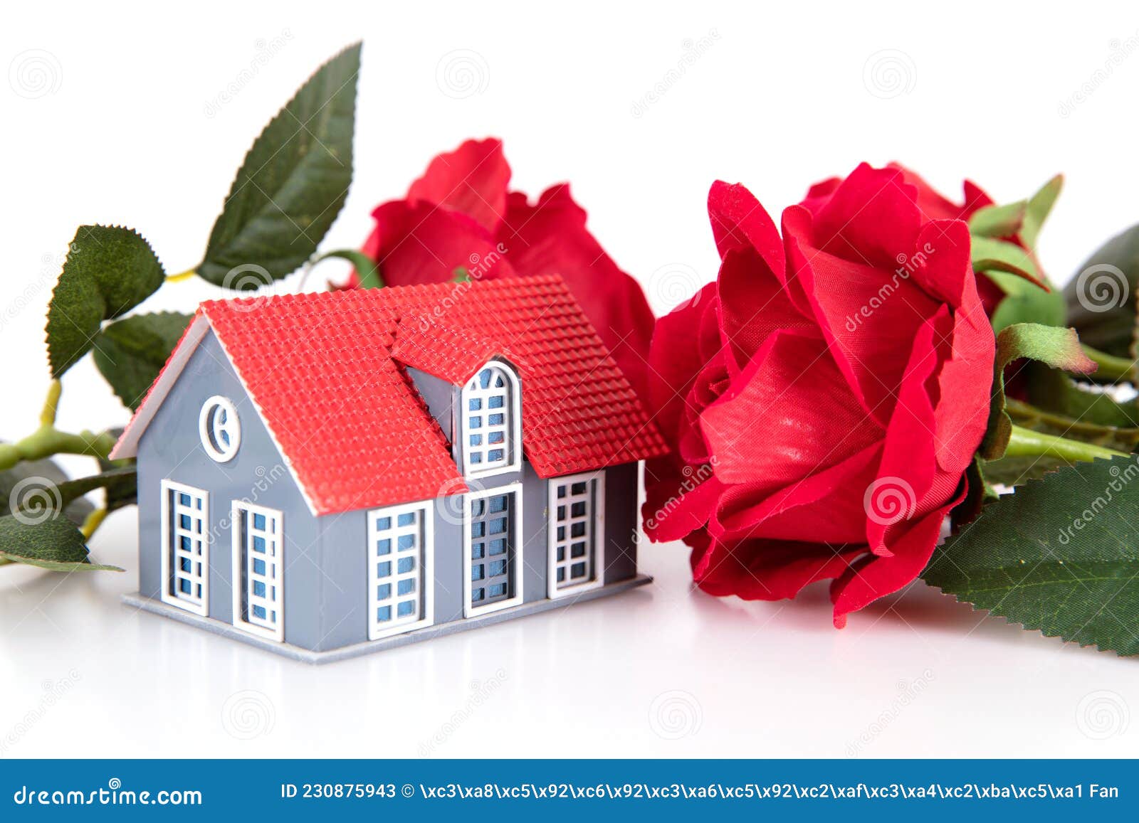 Rose and Small House Model on White Background Stock Image - Image of ...
