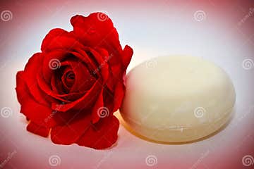 Rose soap stock image. Image of blossom, flower, hygiene - 25636127