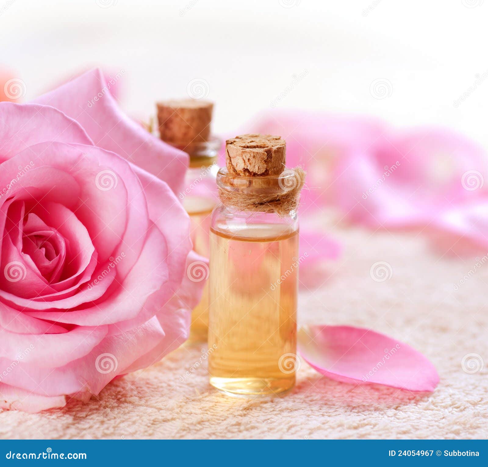 Rose Spa stock image. Image of fresh, colour, flower - 24054967