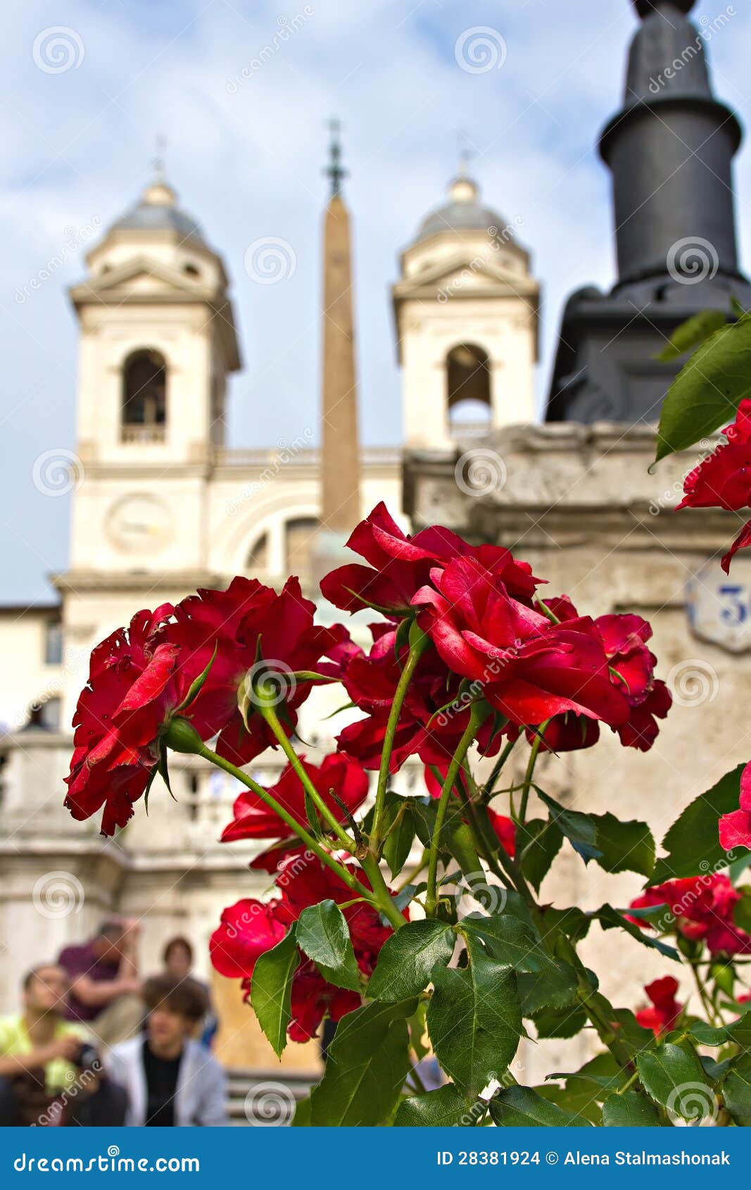 Rose at the Spanish Steps in Rome Stock Photo - Image of blue, marble ...