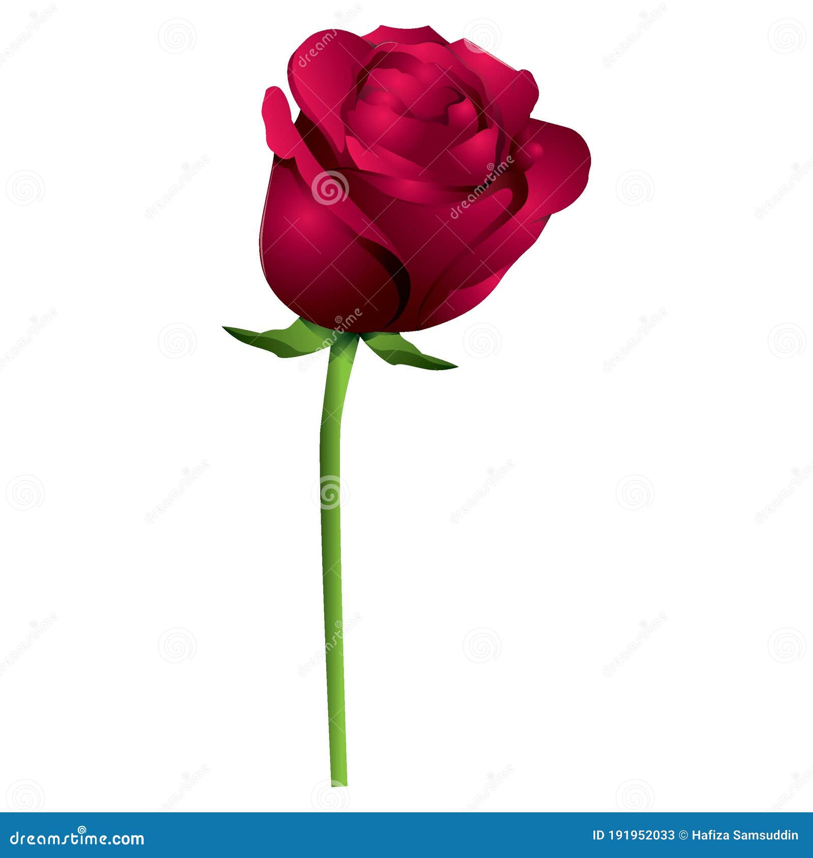 Rose Stalk. Vector Illustration Decorative Design Stock Vector ...