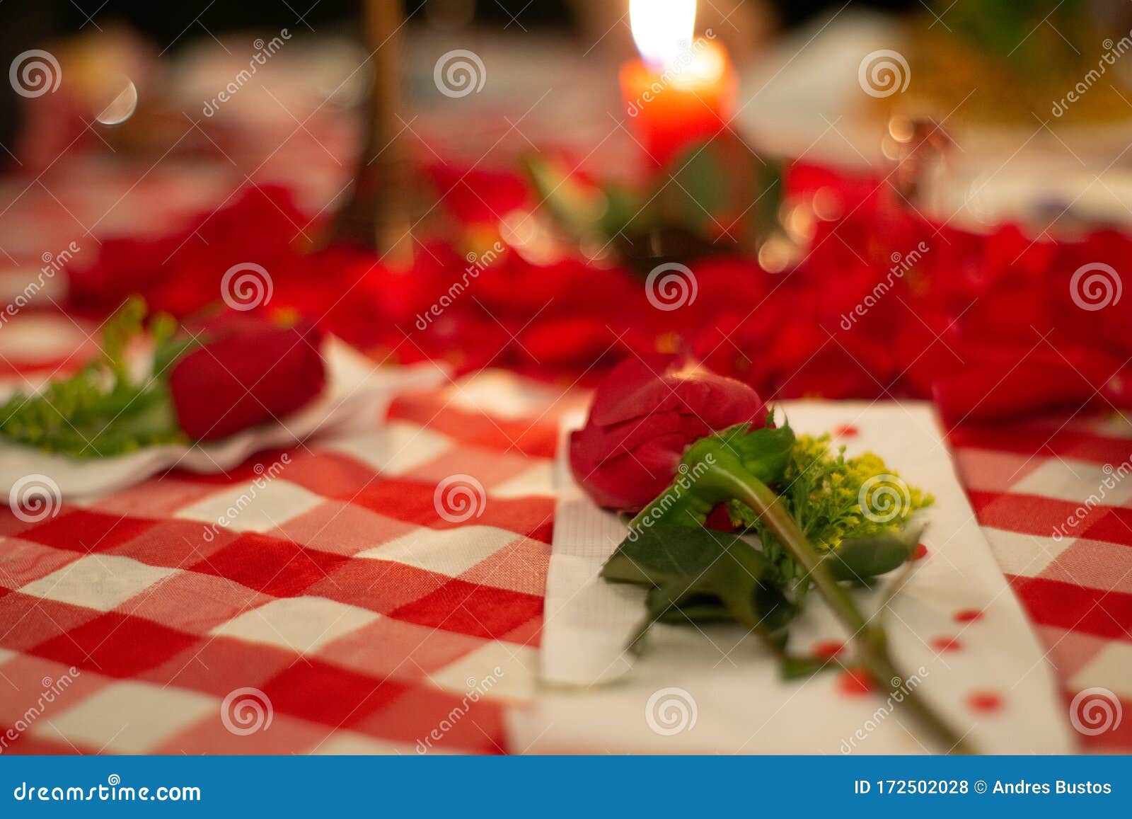 Rose on Table for Romantic Dinner Stock Photo - Image of mother ...
