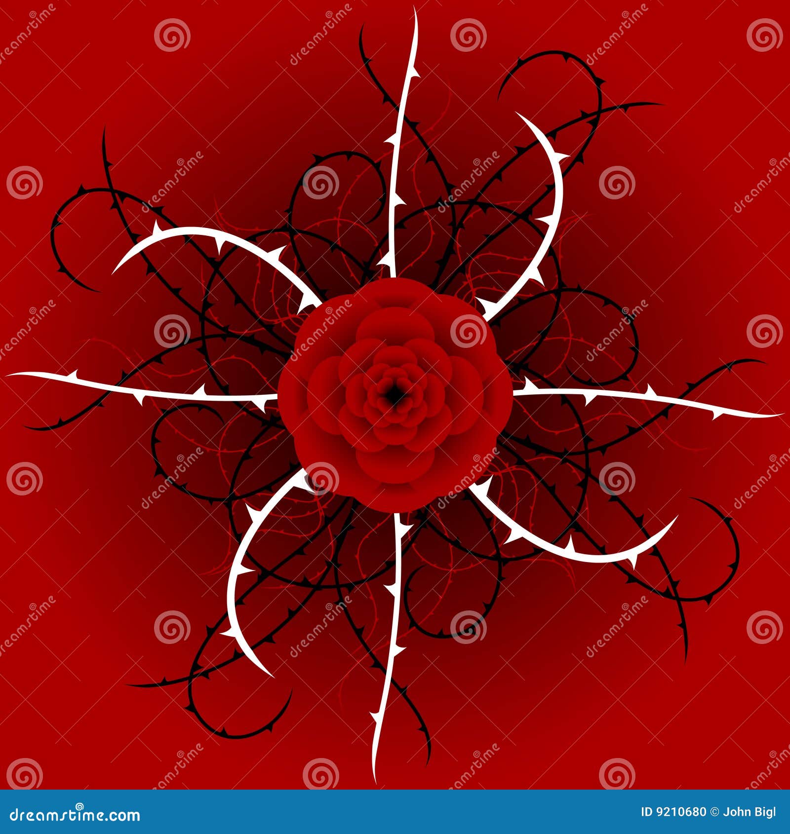 Rose and thorns - color stock vector. Illustration of thorn - 9210680