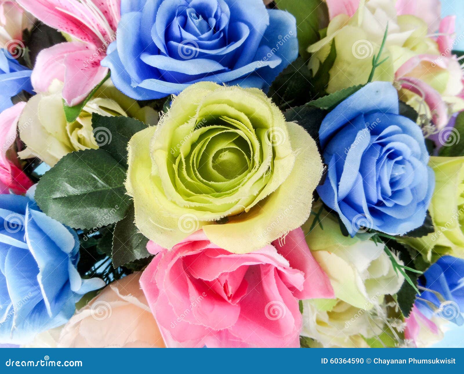 Rose three color stock photo. Image of bunch, botanic - 60364590